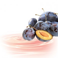 Fruits Quetsche – Climont